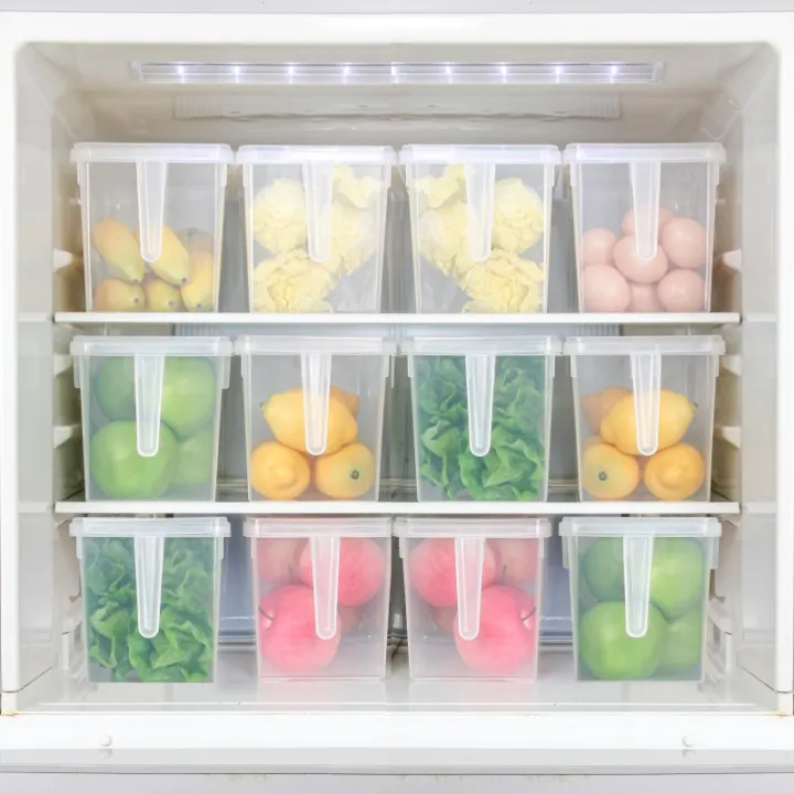 Japan imported refrigerator, vegetable and egg freezer storage box ...