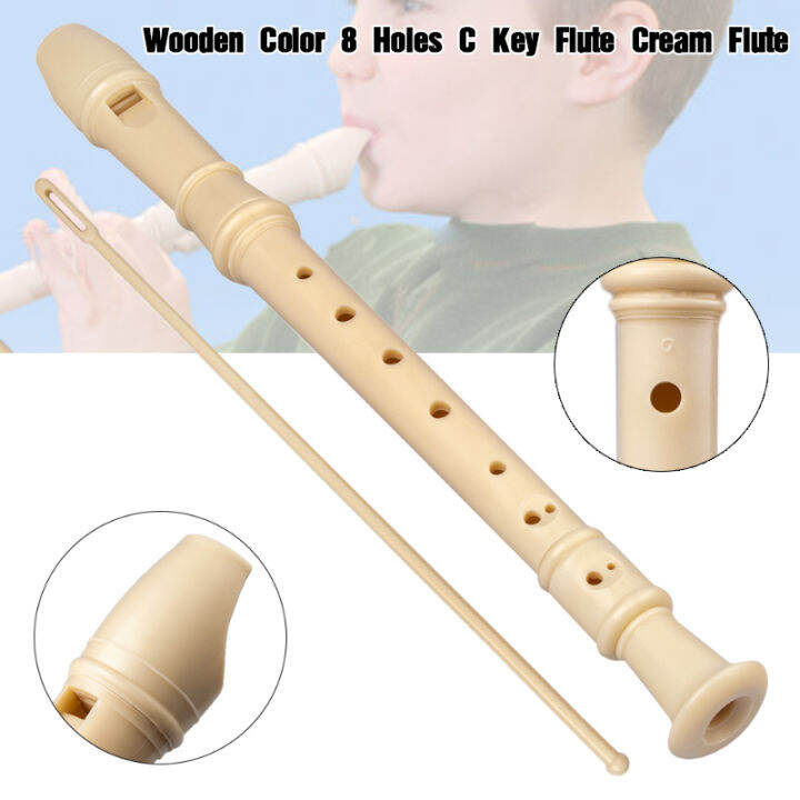 Soprano Descant Recorder 8-Holes Flute with Cleaning Rod, Case Bag ...