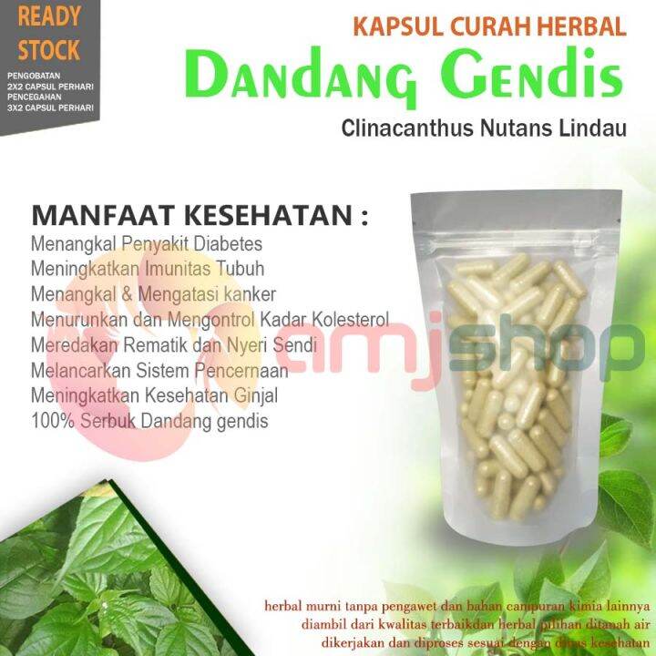 DANDANG GENDIS 100 Kapsul Herbal Diabetes Kolesterol Ginjal Pencernaan ...