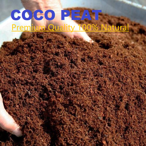 COCO PEAT 100% Natural Substrate For Reptile / Tarantula / Scorpion ...
