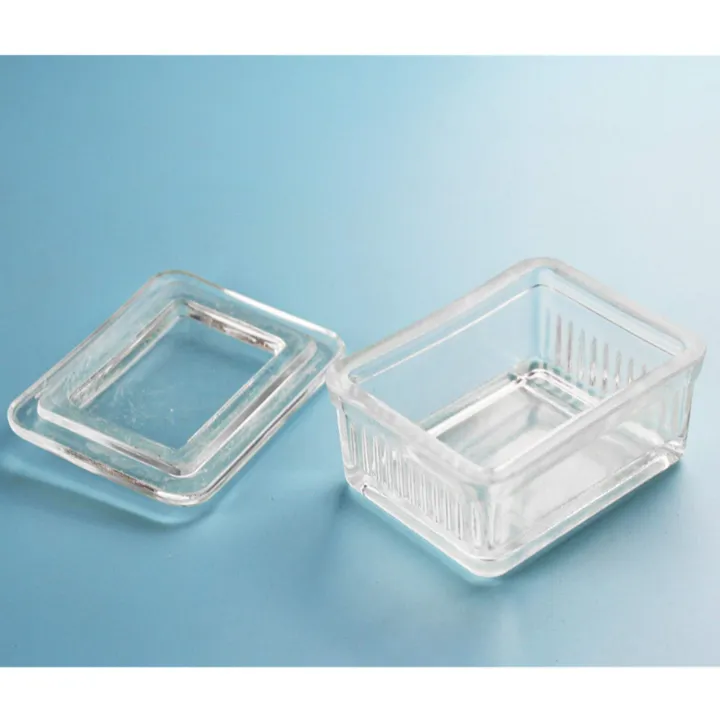 Coplin Jar Glass Slides Container Slide Staining Jar 10's | Lazada PH