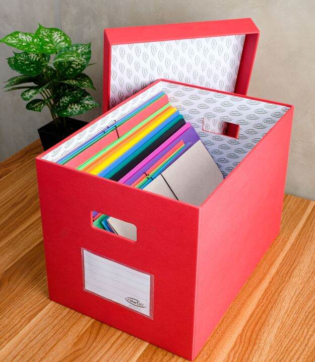 Starfile Storage Box - ( Arlin/ Buffalo Skin) | Lazada PH