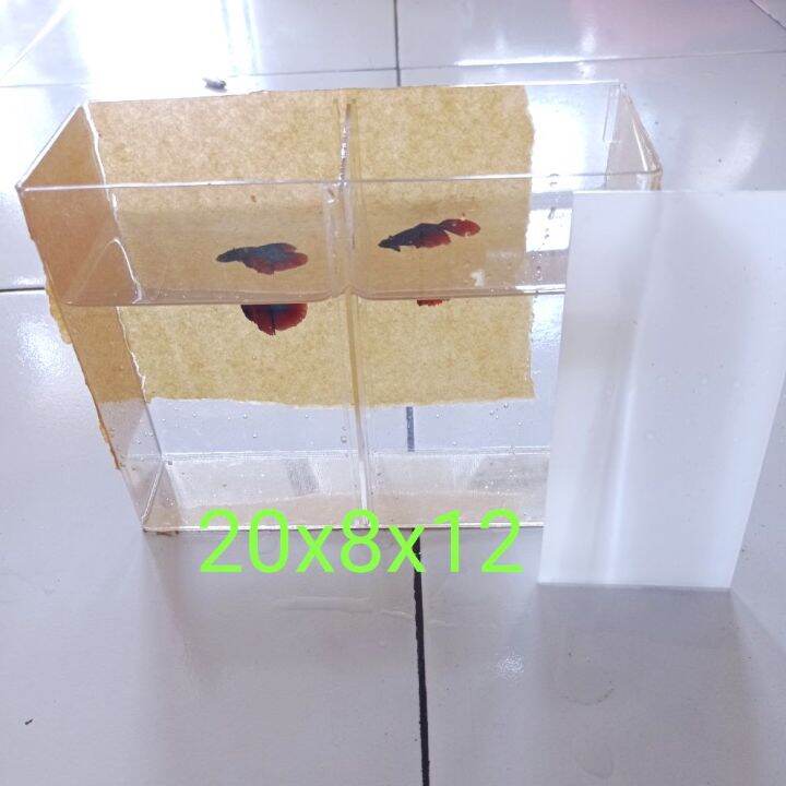 SOLITER AKRILIK 20X8X12 DOUBLE SEKAT | Lazada Indonesia