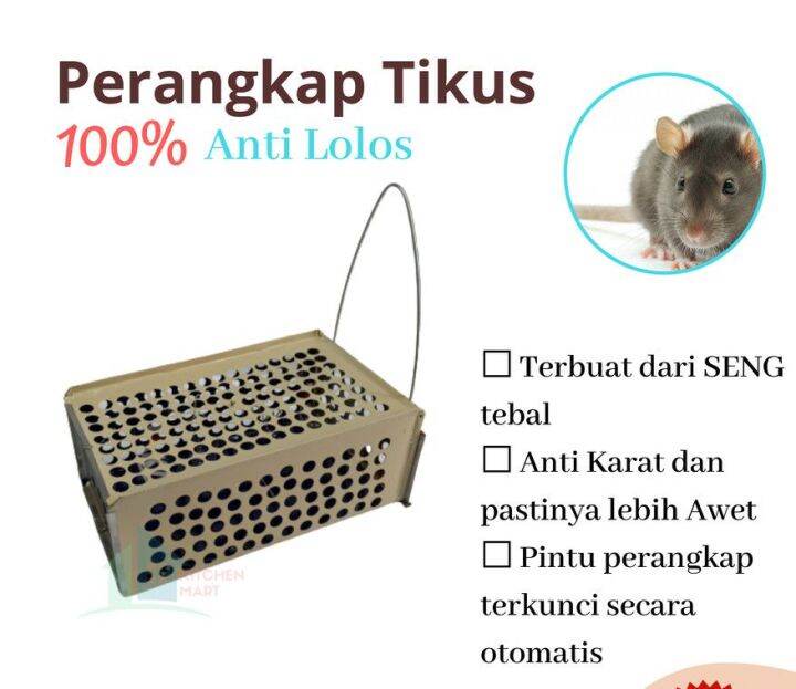 Perangkap Tikus Jebakan Tikus Kecil Perangkap Tikus Besi Tebal Bolong ...