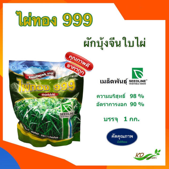 เมล็ดผักบุ้ง ผักบุ้งใบไผ่ คัดพิเศษ ไผ่ทอง 999 (PHAITHONG 999)1 kg ผักบุ้ง ใบไผ่ SEEDLINE กอแน่น ...