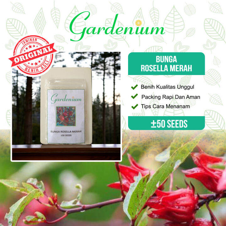 GARDENIUM Benih Bunga Rosella Merah Red Roselle Rosela Tanaman Herbal ...