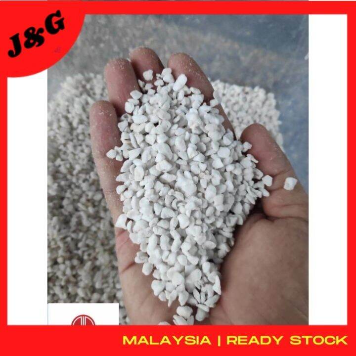 Perlite (2L) 珍珠岩 2-3mm For Cactus & Succulents (Natural Expanded ...
