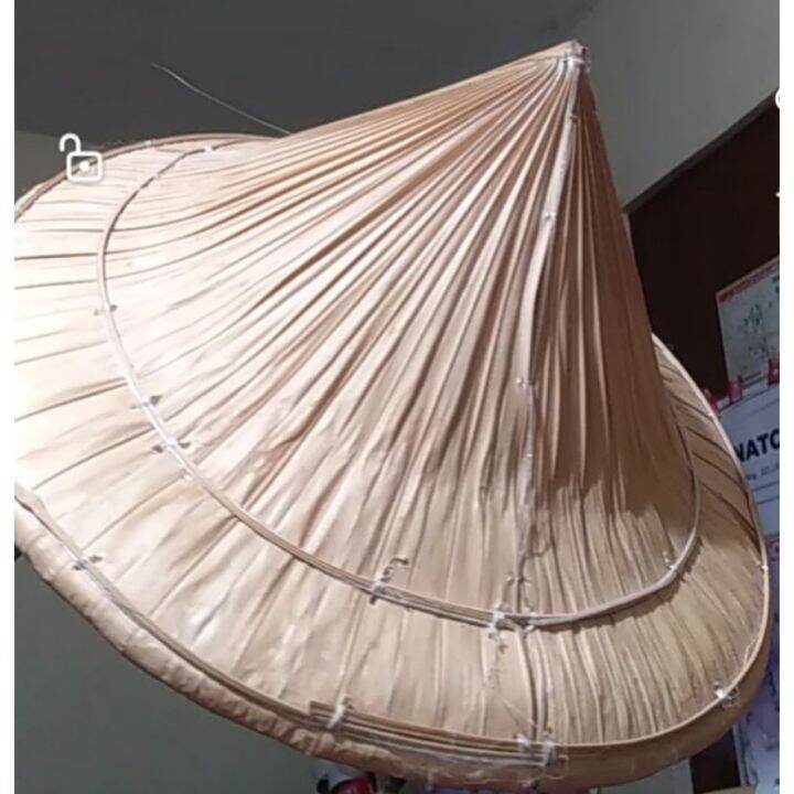 Salakot Native Hat Made out of Anahaw from Bicol | Lazada PH