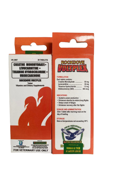 VOLTFLEX ROKDOVE | Lazada PH