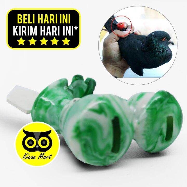 SAWANGAN HATONG PLUIT MERPATI DOUBLE GENDONG NYARING ASESORIS MERPATI ...