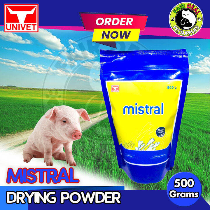 MISTRAL Drying Powder 500 grams | Lazada PH