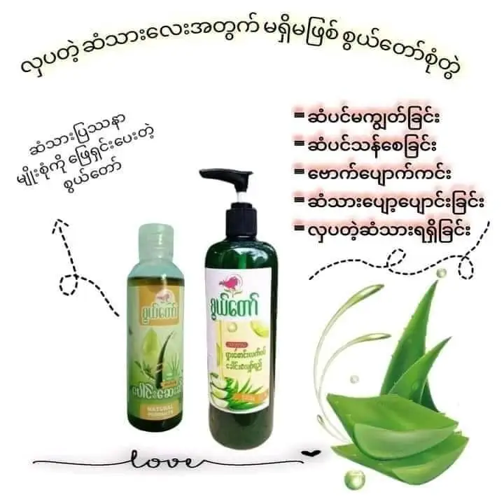 စွယ်တော် သဘာ၀ ရှားစောင်းလက်ဖက်ပင်ခေါင်းလျှော်ရည် စွယ်တော် ဆံပင်သန်ပေ