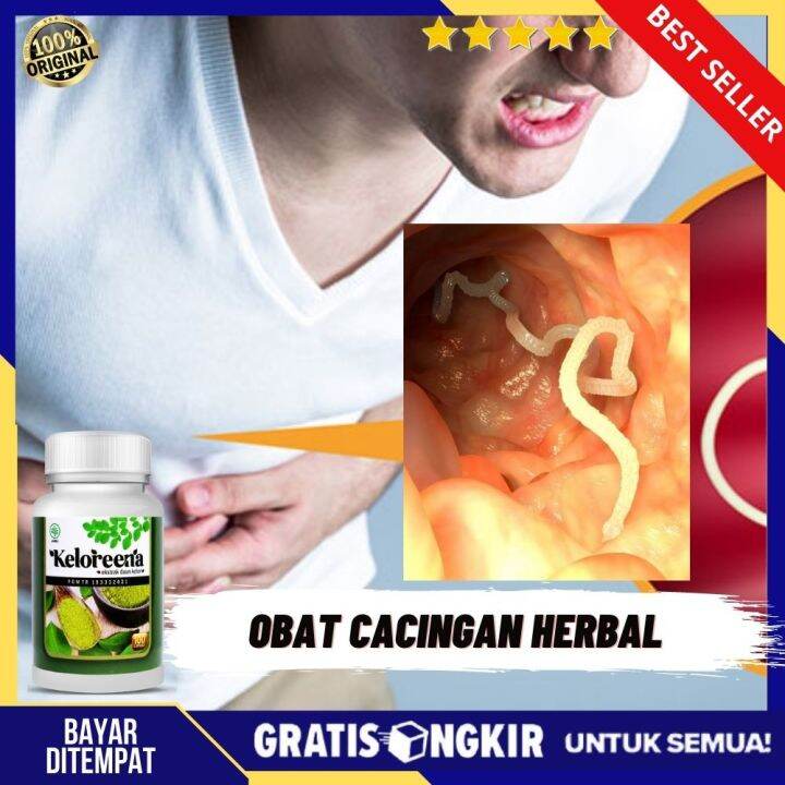 Obat Cacingan Pada Anak Dan Dewasa - Obat Cacingan Alami, Sakit Perut ...