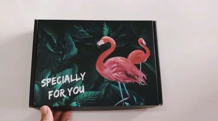 Dried Fruit Tea gift box (10 teas/box) | Lazada PH