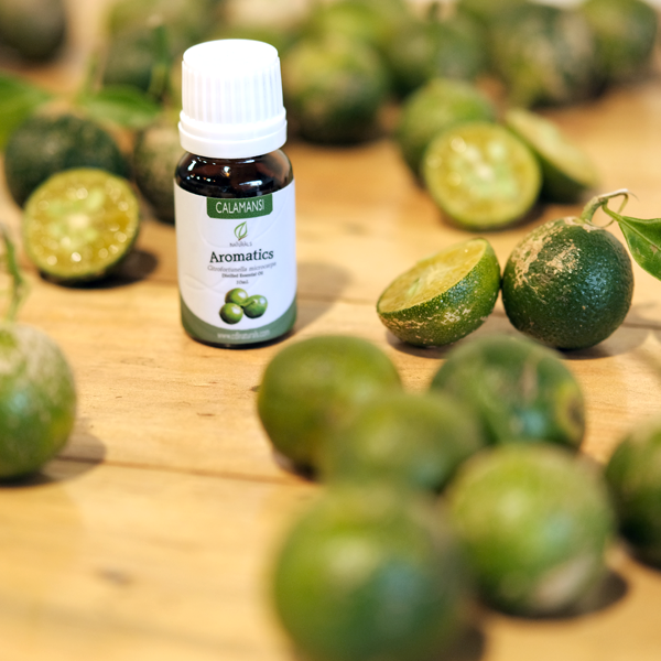 CDL Naturals Calamansi Essential Oil (Distilled) | Lazada PH