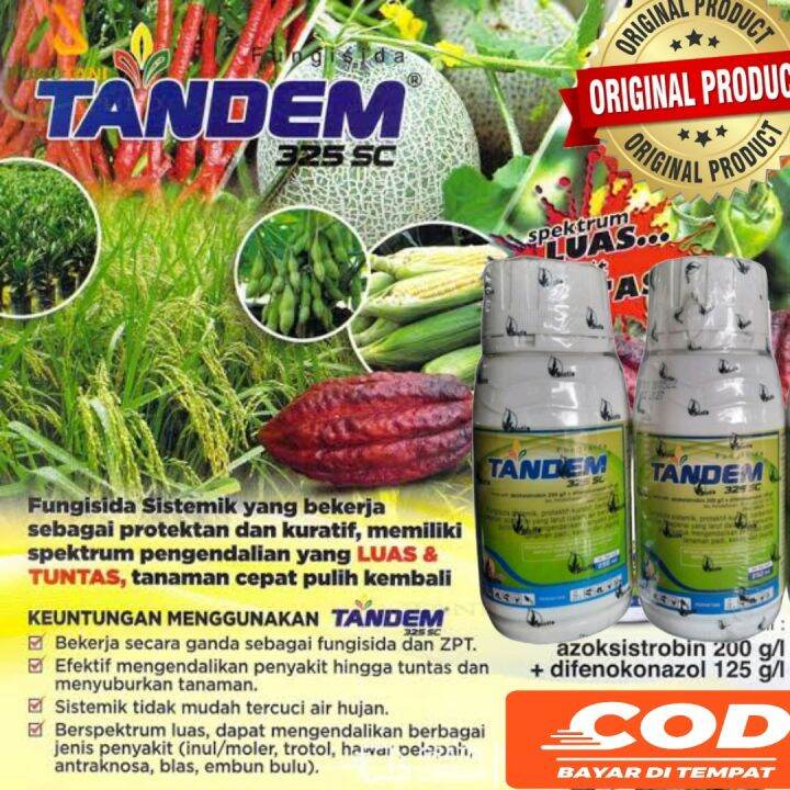 Fungisida TANDEM 325SC fungisida kemasan 250ml untuk tanaman busuk daun ...