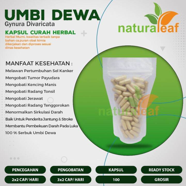 UMBI DEWA 100 Kapsul Herbal Radang Tonsil Jerawat Penggumpalan Darah ...