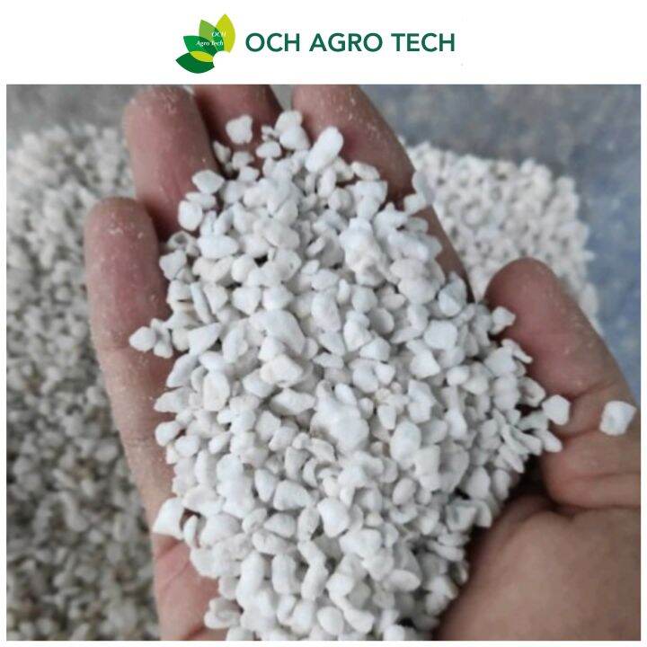 Perlite (1kg) 珍珠岩 3-6mm For Cactus & Succulents (Natural Expanded ...