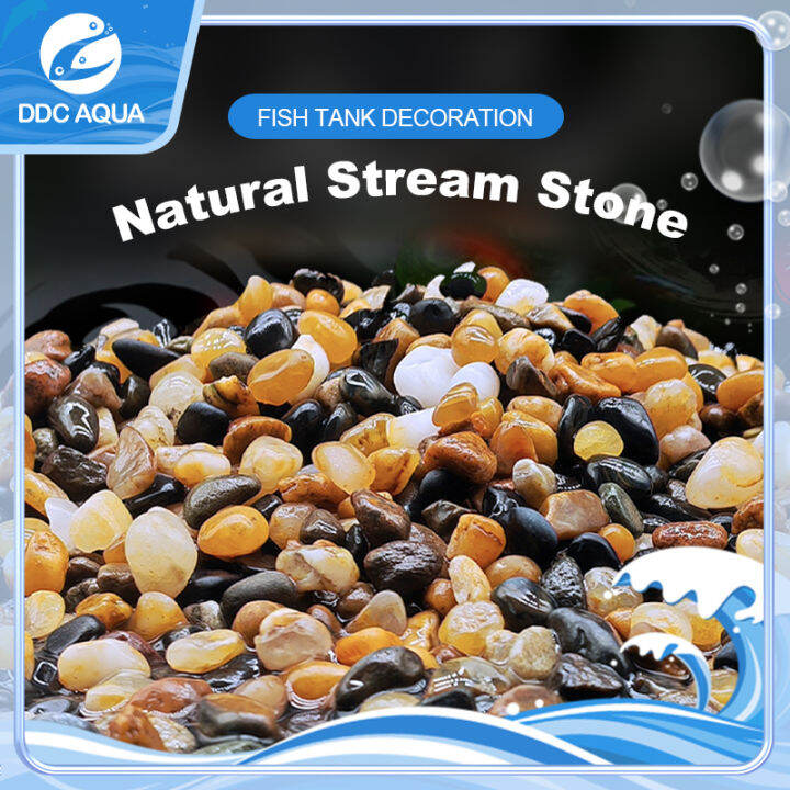 【DDC AQUA】Aquarium Assorted Mindoro Pebbles River Stone | Lazada PH