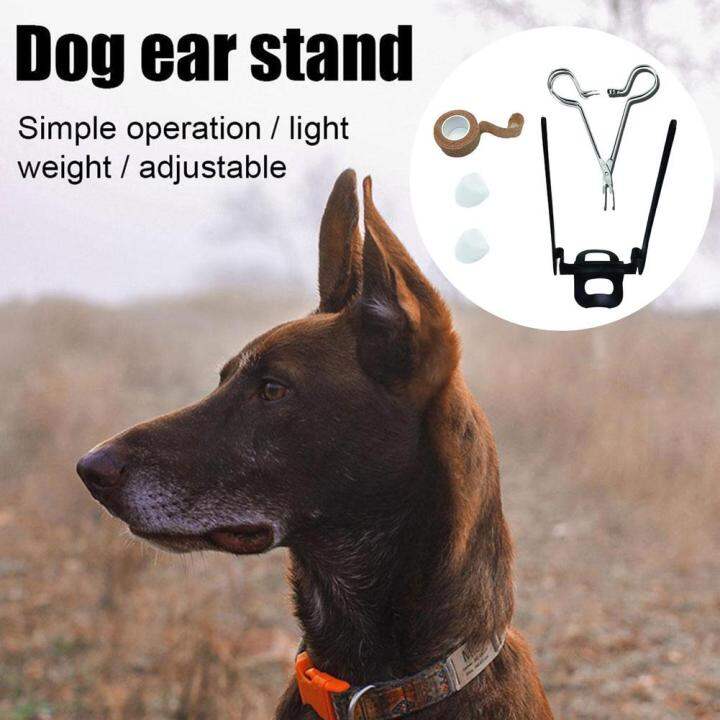 Dog Ear Stand Up Corrector Pet Dog Ear Lifter Safety Pinscher Dog Tools ...