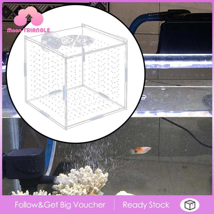 Moon TRIANGLE Aquarium Isolation Box Clear Aquarium Supply for ...