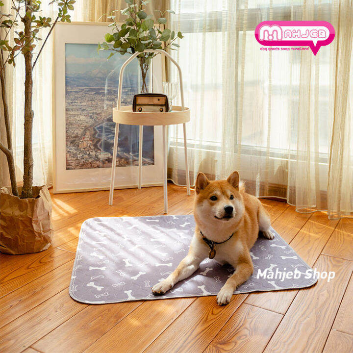 Mahjeb แผ่นซับฉี่ แผ่นรองนอน ฝึกขับถ่าย ซักได้สำหรับหมาแมว ซึมซับน้ำดี ...