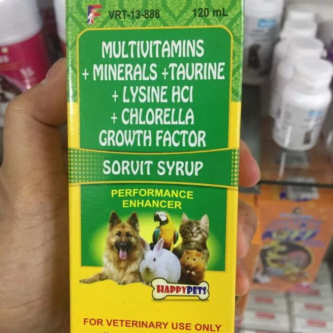 Sorvit Syrup 120ml | Lazada PH