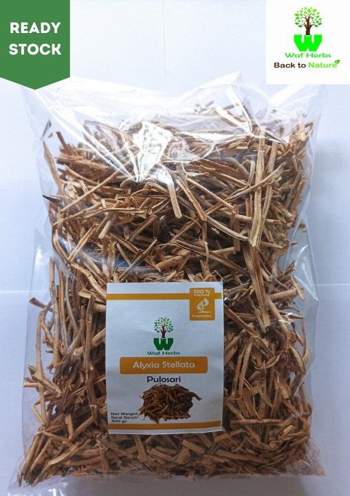 Pulosari Kering 500 Gram - Rempah Kulit Kayu Pulosari | Lazada Indonesia