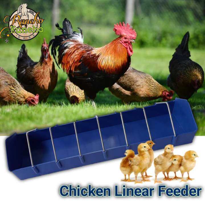 LINEAR FEEDER POULTRY BIRDS QUALITY PLASTIC STEEL 40CM | Lazada PH