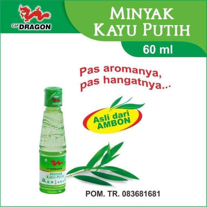 Minyak herbal KAYU PUTIH CAP DRAGON 60ML MKP DRAGON 60ML | Lazada Indonesia