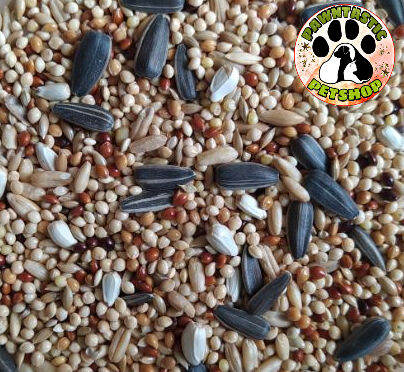 Bird Seed Mix [African Mix] 1kilo | Lazada PH