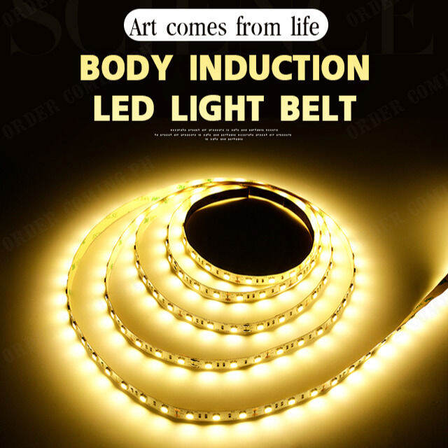 Order Coming. LED Strip Lighting Order Coming Authentic Box Human Body ...