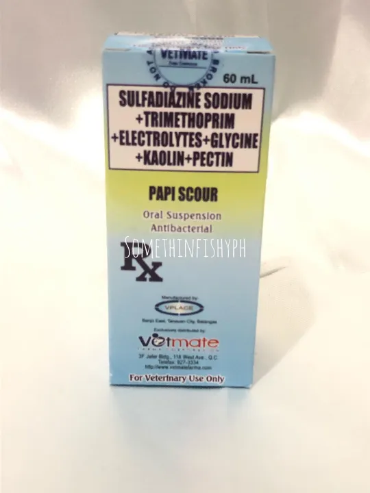 PAPI SCOUR 60ml (Oral Suspension Antibacterial) | Lazada PH