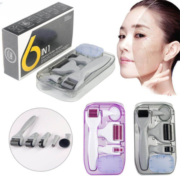 6 in 1 roller facial care multi-function Microneedling Treatment Skin ...