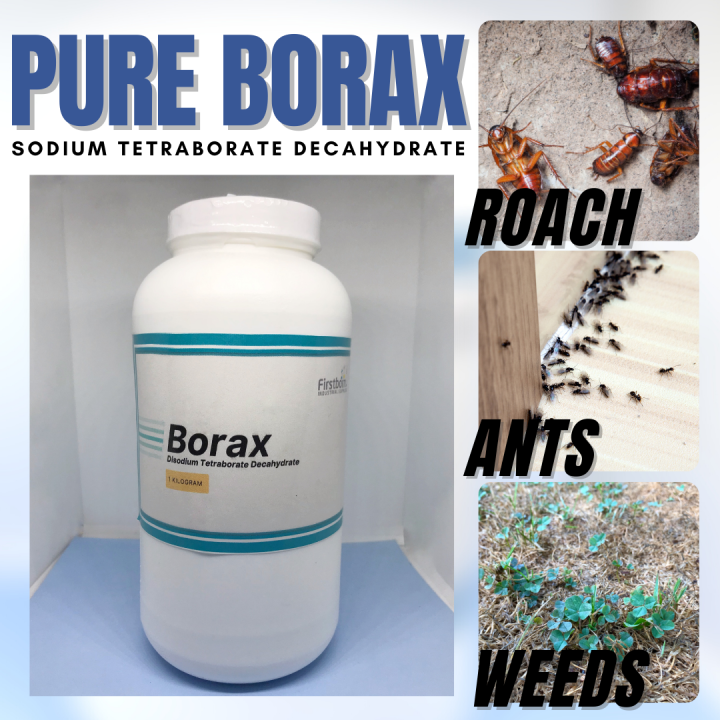 FIRSTBORN Borax Technical Grade, 1 Kilo/bottle All purpose Cleaner ...