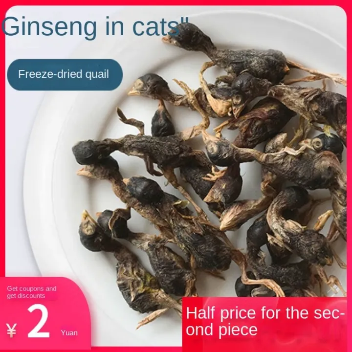 💖READY STOCK💖Cat Snacks Freeze-dried Small Quail Fattening Nutrition ... 💖READY STOCK💖Cat Snacks Freeze-dried Small Quail Fattening Nutrition ...