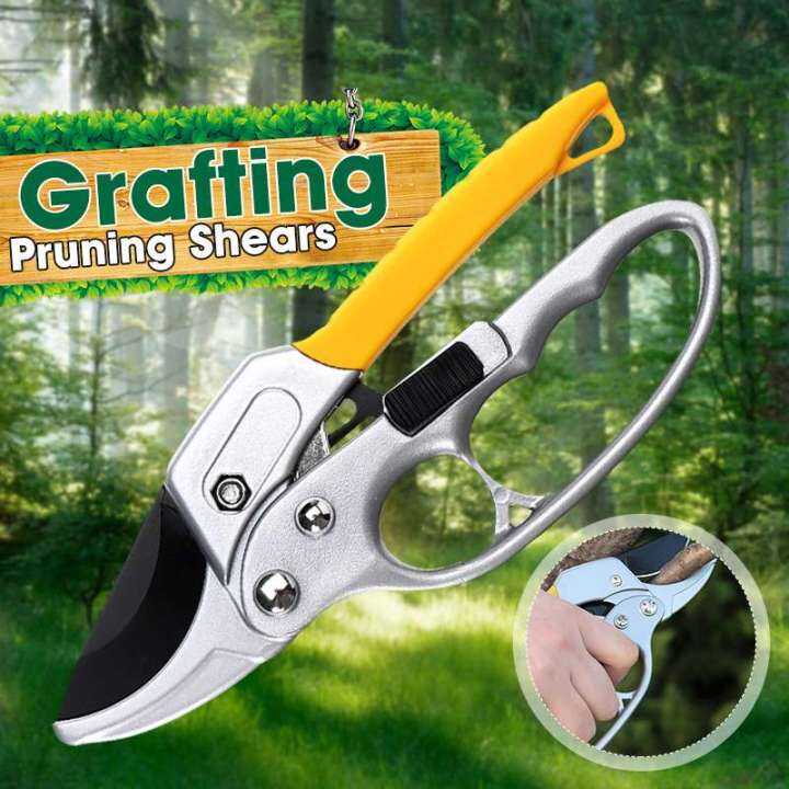 Plant Trim Horticulture Hand Pruner Cut Secateur Shrub Garden Scissor ...