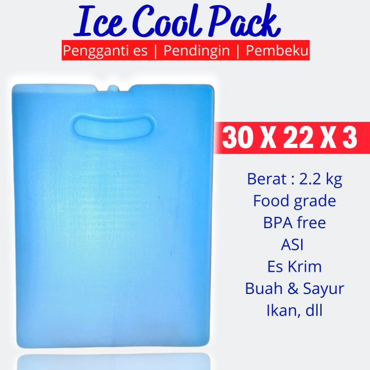 ICE PACK JOGJA - ICE PACK UNTUK KOMPRES - ICE PACK HARGA (30x22X3) PENGGANTI ES BATU | Lazada ...
