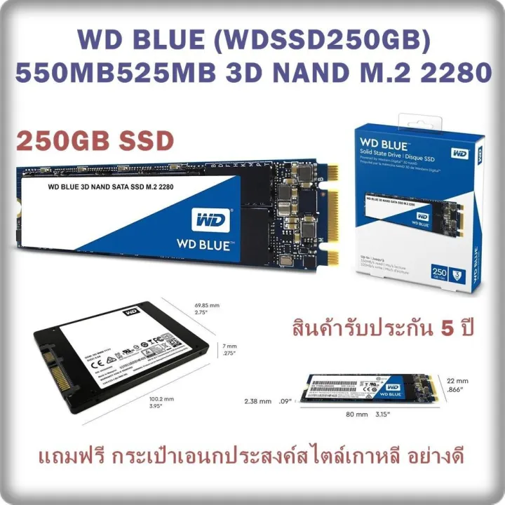 250GB SSD /เอสเอสดี 250GB /WD BLUE (WDSSD250GB) 550MB/525MB 3D NAND M.2 ...