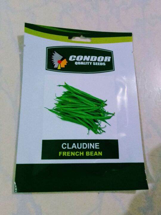 CLAUDINE FRENCH BEAN SEEDS/pack size condor seeds | Lazada PH
