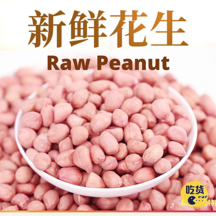 Raw Peanut 花生 China/ India /Vietnam Kacang Tanah Mentah 中国/印度/越南花生米 ...