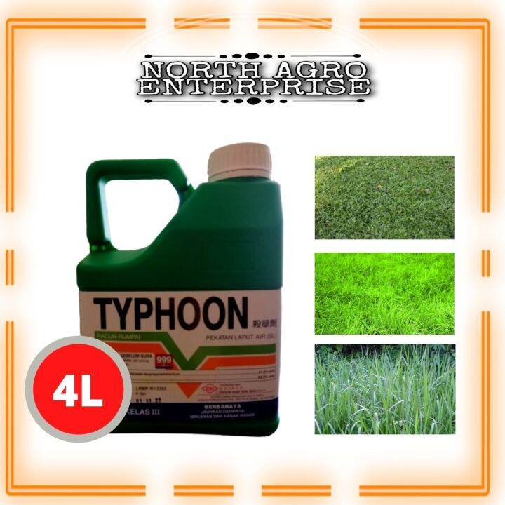 Typhoon Racun Rumput / Glyphosate 41% Herbicide (sama fungsi dengan ...