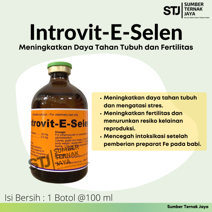 Introvit E Selen Injeksi 100 ml Vitamin Meningkatkan Daya Tahan Tubuh ...