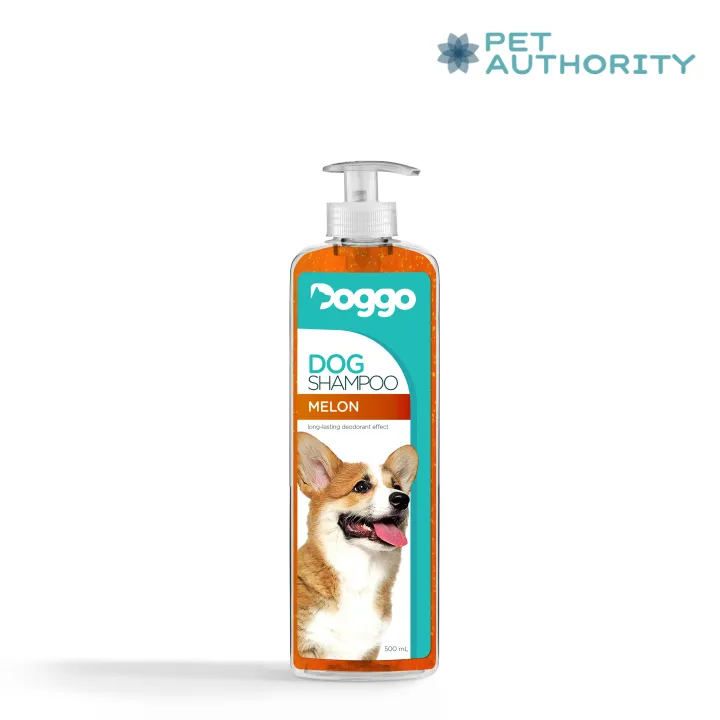 Doggo Melon Shampoo - 500 ML | Lazada PH