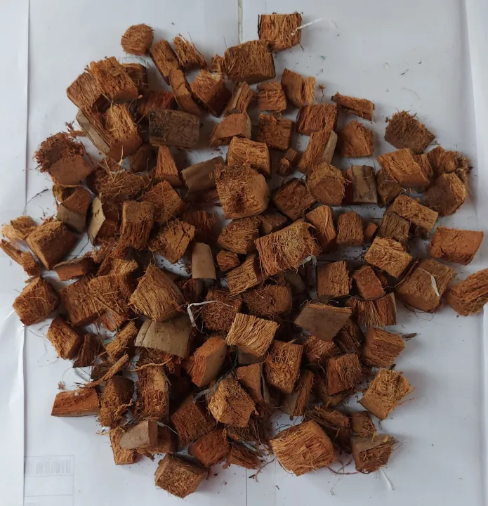 Coco Chips / Coco Cubes / Coco Chunks Best for Orchid Plants Decors ...