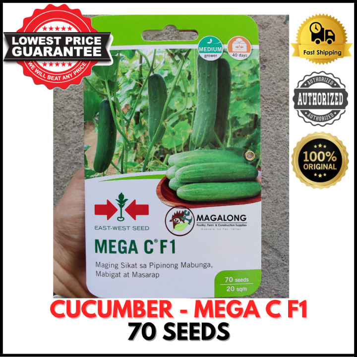 EAST-WEST SEEDS - CUCUMBER SEEDS - MEGA C F1 HYBRID - 70 SEEDS | Lazada PH