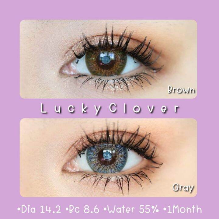 💚LuckyClover-Brown•Gray☆สายตา00-700☆รายเดือน | Lazada.co.th