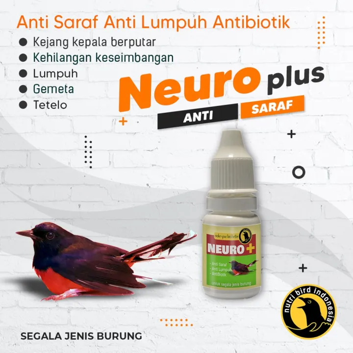 NEURO PLUS Obat Burung Anti Saraf , Anti Lumpuh , Anti Kejang dan ...