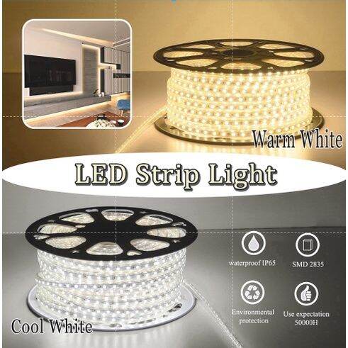 8MM led strip lights 5050 IP44 220v Power plug purchased separately ...