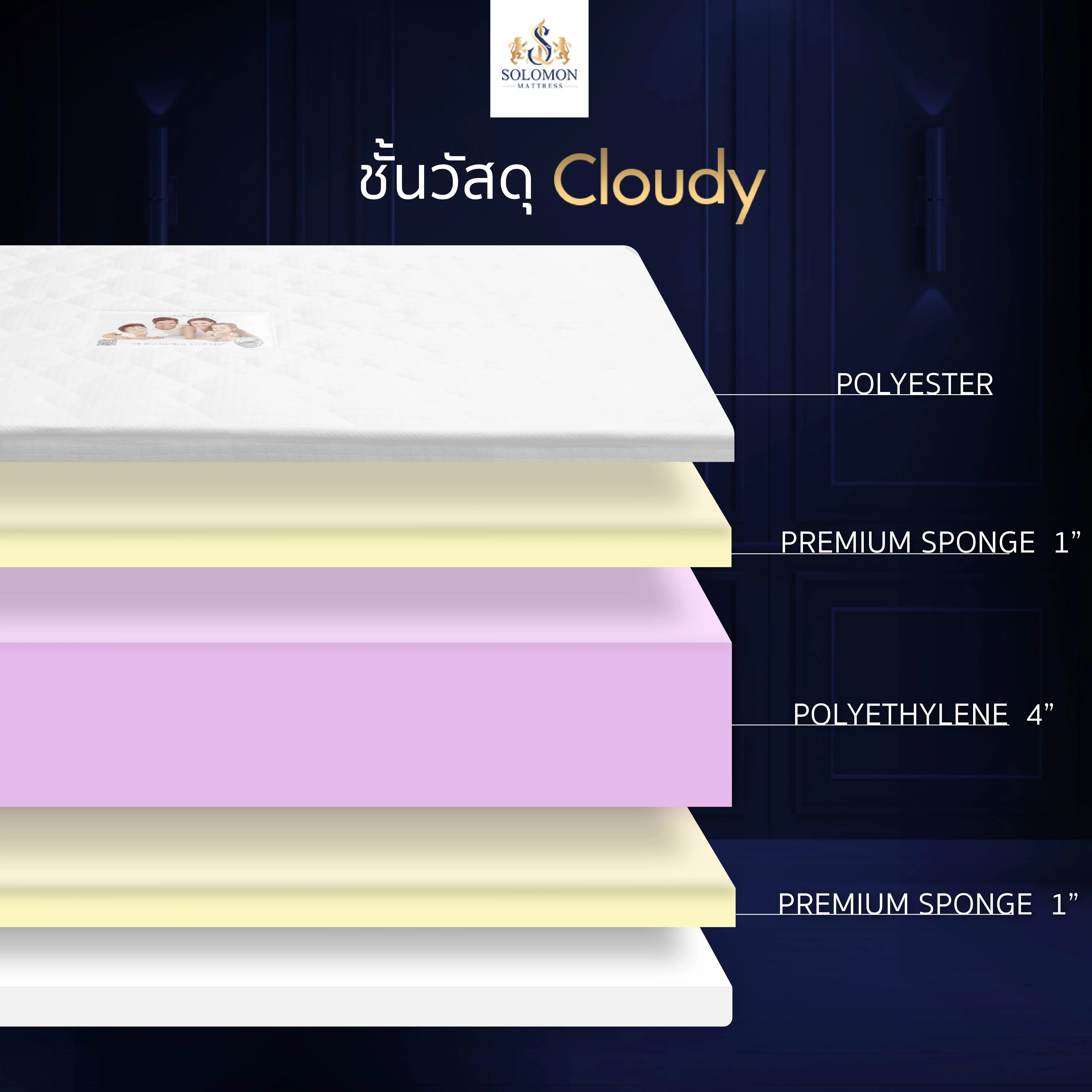 Solomon ที่นอนยาง PE เสริมฟองน้ำอัดแน่น รุ่น CLOUDY หุ้มผ้านุ่มขนนก สี ...